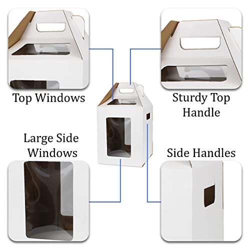 CAKINBOX Tall Cake Boxes with window and Cake Boards in 2 sizes 10x10x12 & 12x12x14 Tall Cake Carrier, Tiered Cake Box, Layer Cake, tier cake boxes, large cake box (PACK 4)