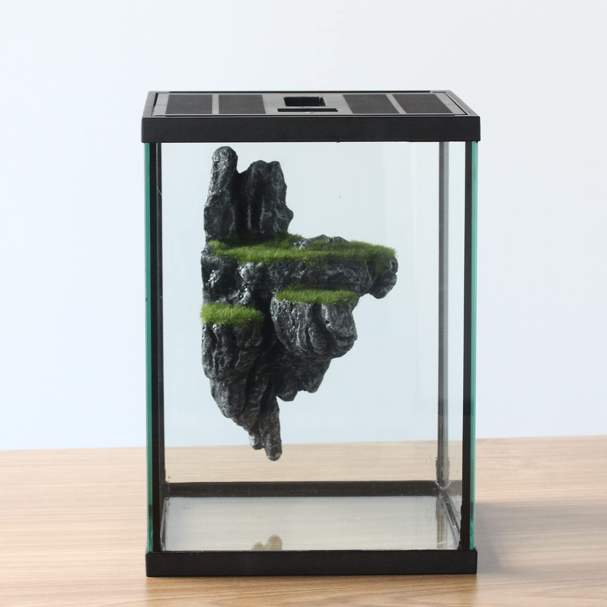 crapelles Small Vertical Insect Glass Terrarium Box, Reptile Tank with Lid Simulation Landscape, for Little Tarantula Caterpillar Frog Snail Spider Habitat Container Accessories