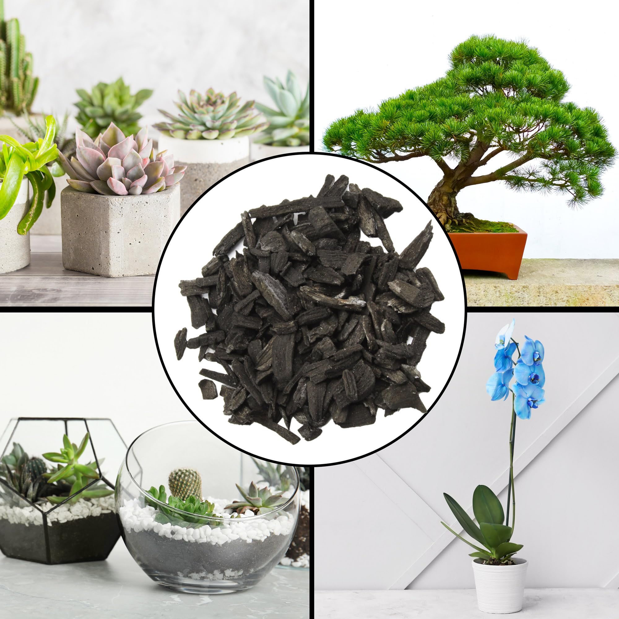 Horticultural Charcoal for Indoor Plants (1 Quart), Hardwood Soil Additive for Orchids, Terrariums, and Gardening