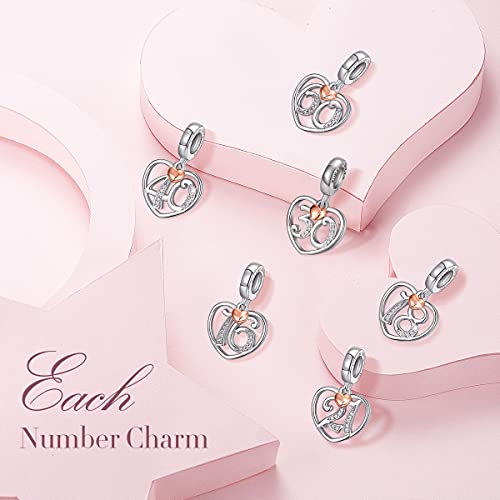 FOREVER QUEEN Number 60 Charm Fit Charm Bracelets 925 Sterling Silver Birthday Dangle Beads with 18K Gold Heart Shaped Pendant for Women Gift