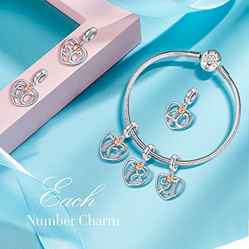 FOREVER QUEEN Number 60 Charm Fit Charm Bracelets 925 Sterling Silver Birthday Dangle Beads with 18K Gold Heart Shaped Pendant for Women Gift