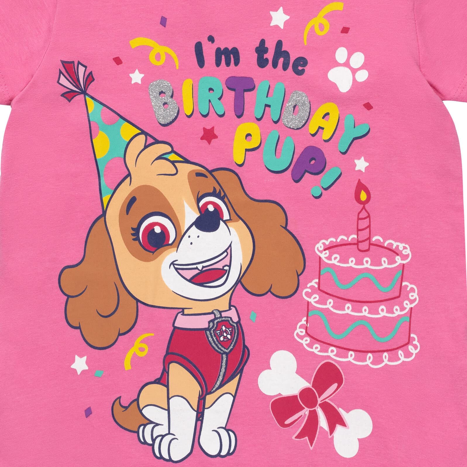 Paw Patrol Skye Birthday Toddler Girls T-Shirt Pink 4T