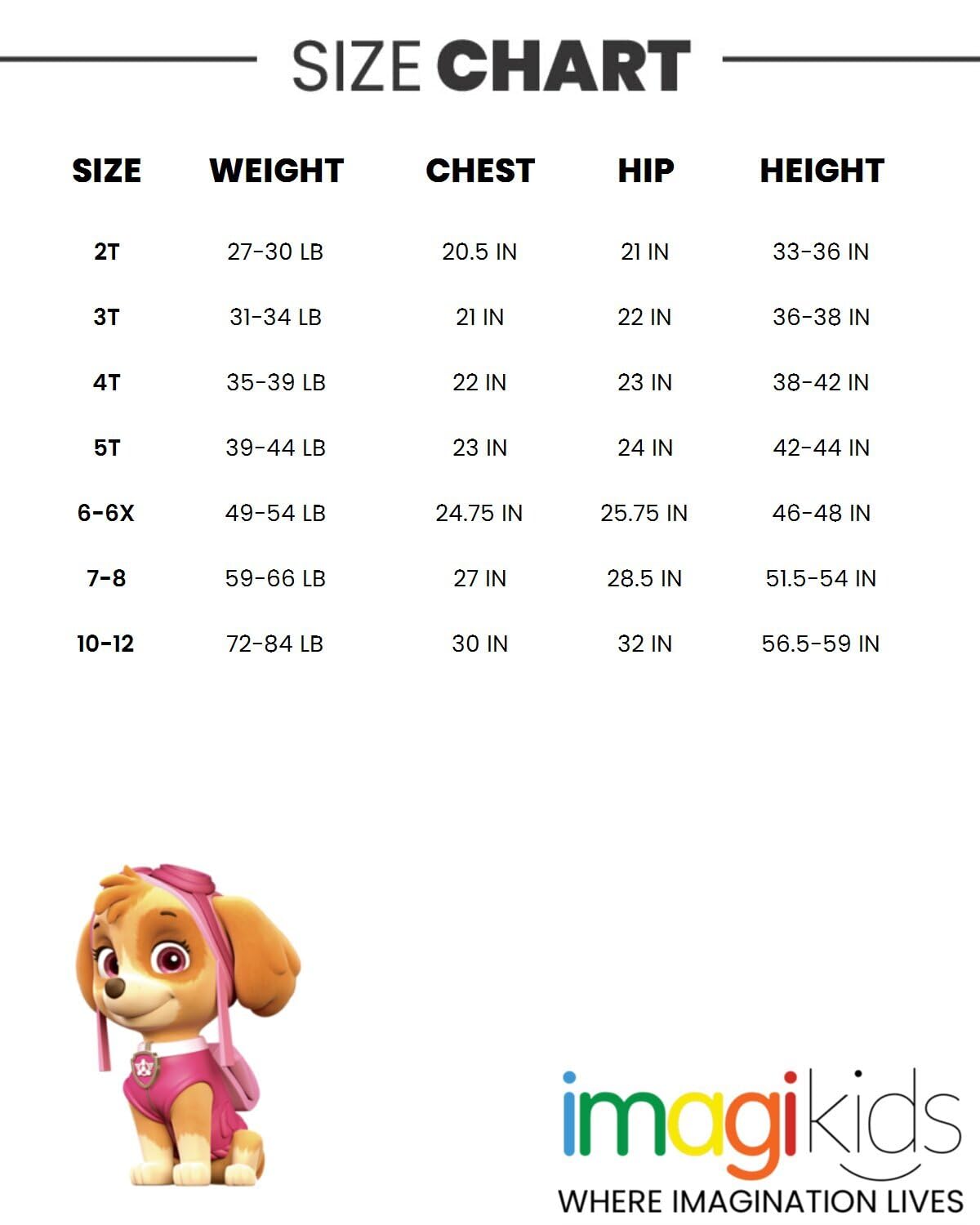 Paw Patrol Skye Birthday Toddler Girls T-Shirt Pink 4T