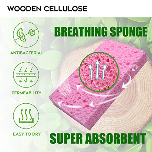 Compressed Cellulose Kitchen Sponges 12Pack,Non-Scratch Biodegradable Natural Colorful Sponge Scrub for Dishes Cleaning,Funny DIY Sponge for Kids