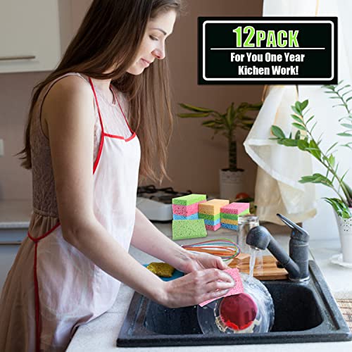 Compressed Cellulose Kitchen Sponges 12Pack,Non-Scratch Biodegradable Natural Colorful Sponge Scrub for Dishes Cleaning,Funny DIY Sponge for Kids