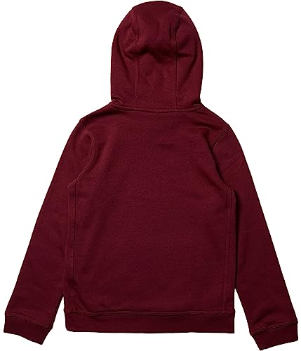 Nike Boy's Club Fleece Pullover Hoodie (Little Kids/Big Kids) Dark Beetroot/White XS (6X Little Kid)