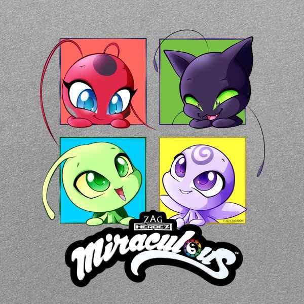 Pop Threads Miraculous Ladybug and Cat Noir Merch Kwamis Tikki Youth Kids Girl Boy T-Shirt Sport Grey XL
