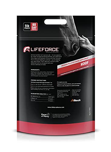 Lifeforce Horse Supplements (Hoof)
