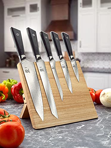 Mercer Culinary Premium Grade Super Steel 6-Piece Knife Set with Magnetic Rubberwood Stand, G10 Handles