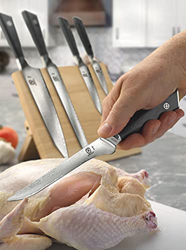 Mercer Culinary Premium Grade Super Steel 6-Piece Knife Set with Magnetic Rubberwood Stand, G10 Handles