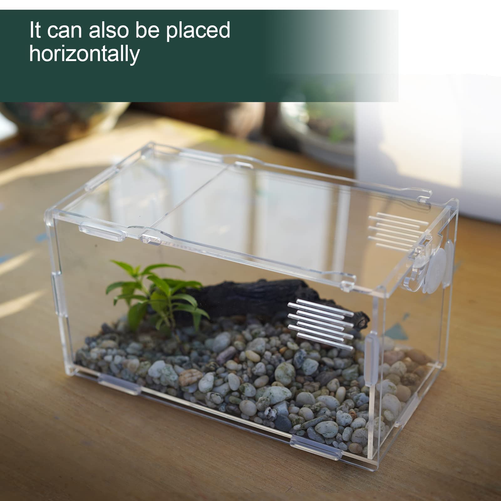 BETAZOOER Acrylic Mini Reptile Tank Habitat Transparent Terrariums with Locking Latch Suitable for Tarantula Isopod Roach Invertebrates (8''x6''x14'')