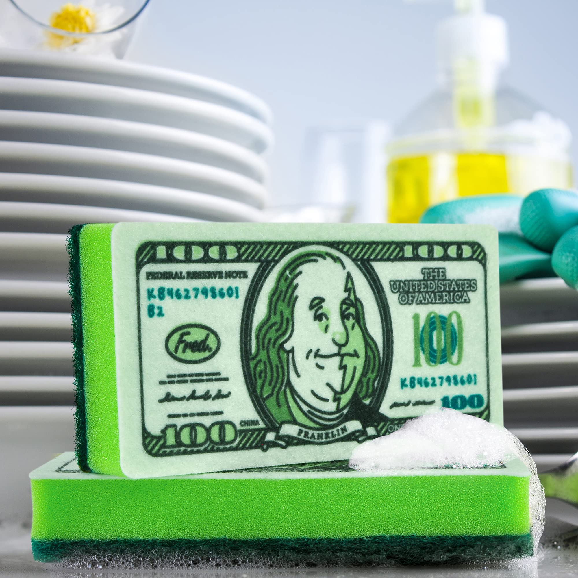 Genuine Fred, Dirty Money, Kitchen Sponges, Set of 2, Green (5286467)