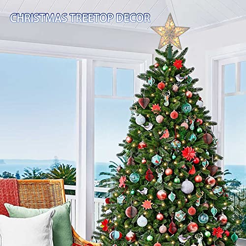 Funpeny 11 Inch Glitter Silver Star Tree Topper, Lighted Christmas Treetop with 10 Lights Christmas Decorations for Christmas Xmas Tree Home Bar Shop Office (Silver)