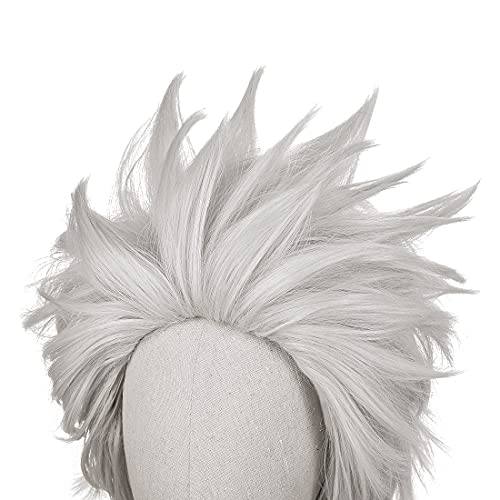 FYXZHUO Men's Short Sliver White Cosplay Wig Straight Anime Hair Wigs for Halloween