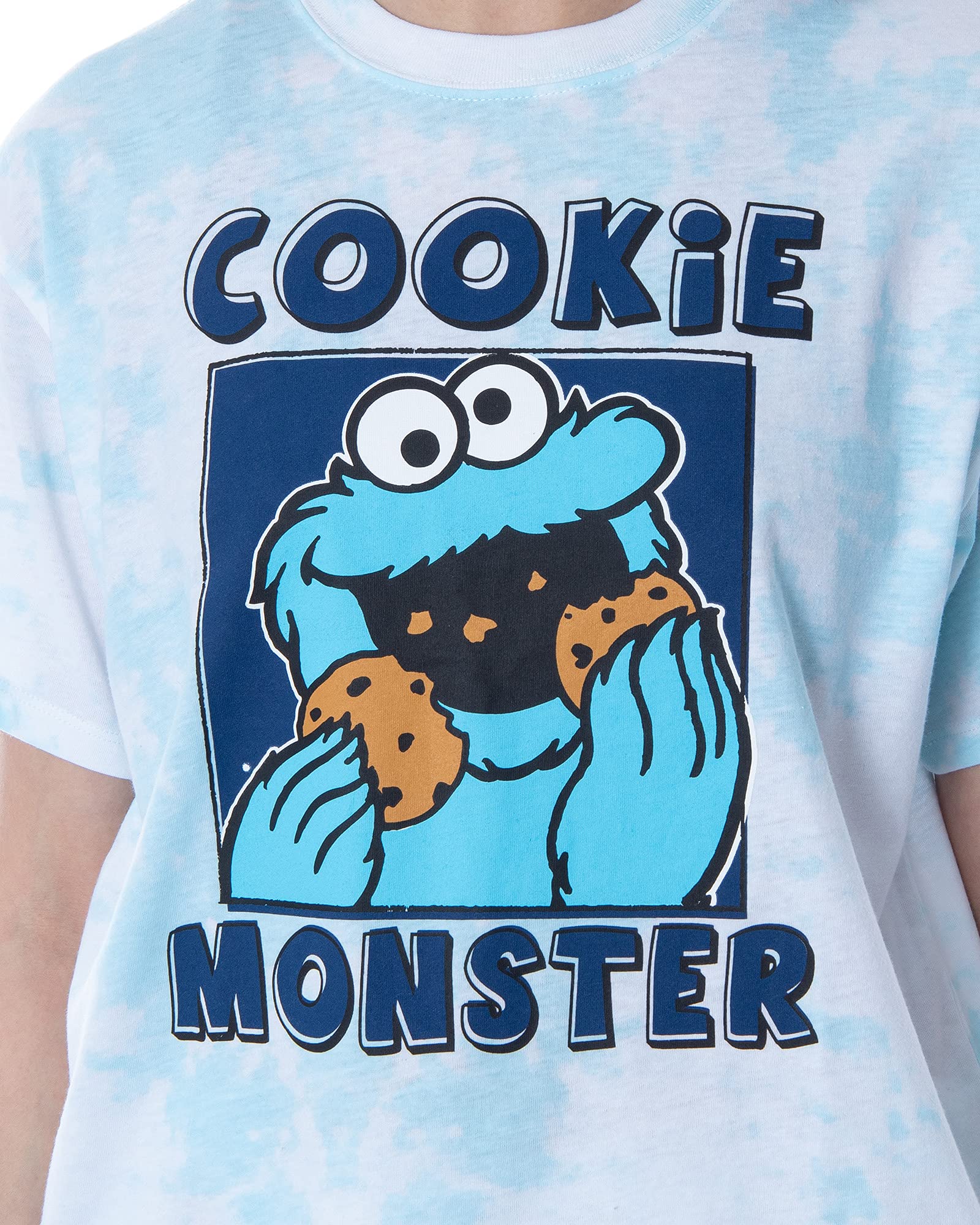 Sesame Street Womens' Cookie Monster Tie Dye Shirt Short Sleep Pajama Set (XL)