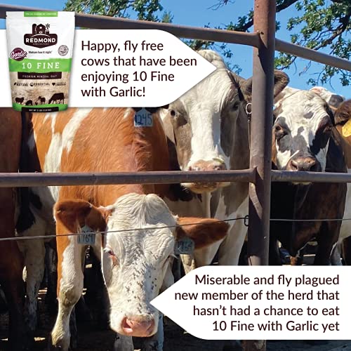 Redmond Agriculture 10 Fine with Garlic- Premium Mineral Salt with Essential Trace Minerals and Pest Prevention