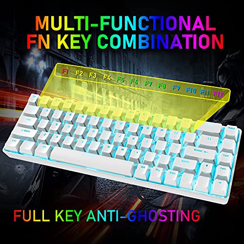 60% Mechanical Gaming Keyboard and Mouse Combo with Mini Ergonomic Anti-ghosting 68Key Multi Backlight 6400DPI Green Honeycomb Mice Type-C Wired for PC Mac Gamer Office Typist(White Blue/Blue Switch)