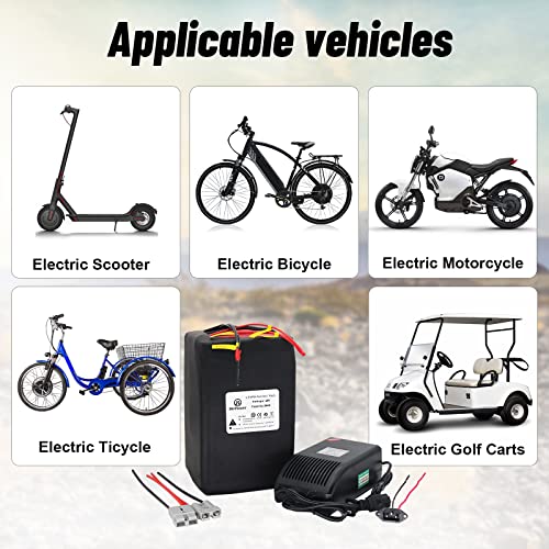 48V Ebike Battery-30AH LiFePO4 Battery Pack with 5A Fast Charger and 40A BMS for Ebikes Electric Bicycle Electric Scooter Motorcycle 500W 750W 1000W 1500W 1800W 2000W Motor…