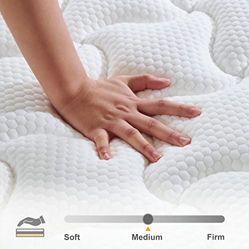 S SECRETLAND 14 Inch Hybrid Memory Foam Mattress with Individual Pocket Springs, King Bed in a Box, Pressure Relief and Cooler Cover, Medium Softer King Size