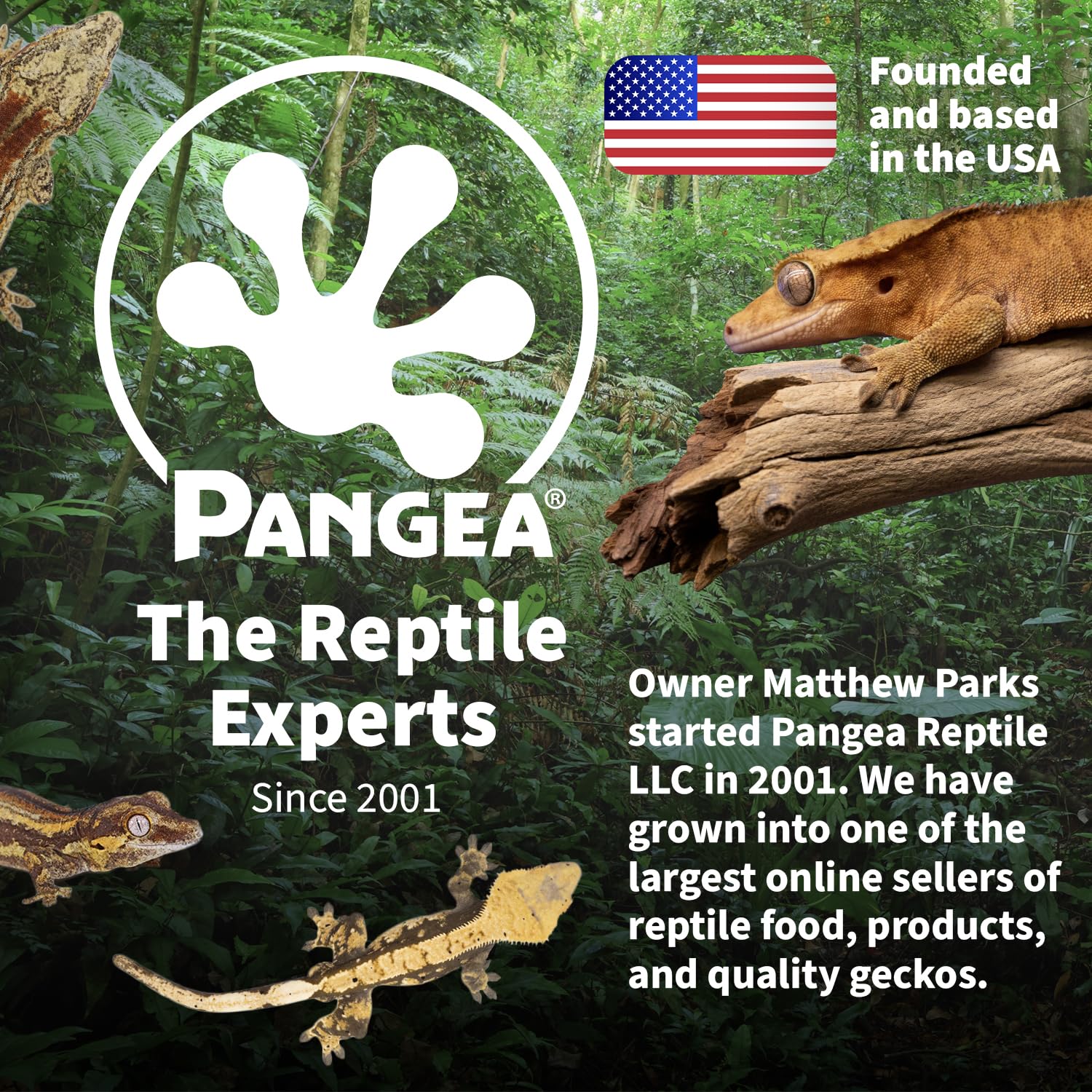 Pangea Ultimate Eco Dish, Crested Gecko Food and Water Bowl for Terrestrial Lizards, Durable Silicone Feeding Accessory for Reptile Terrariums 3.125in x 5.5in (Grey Marble)