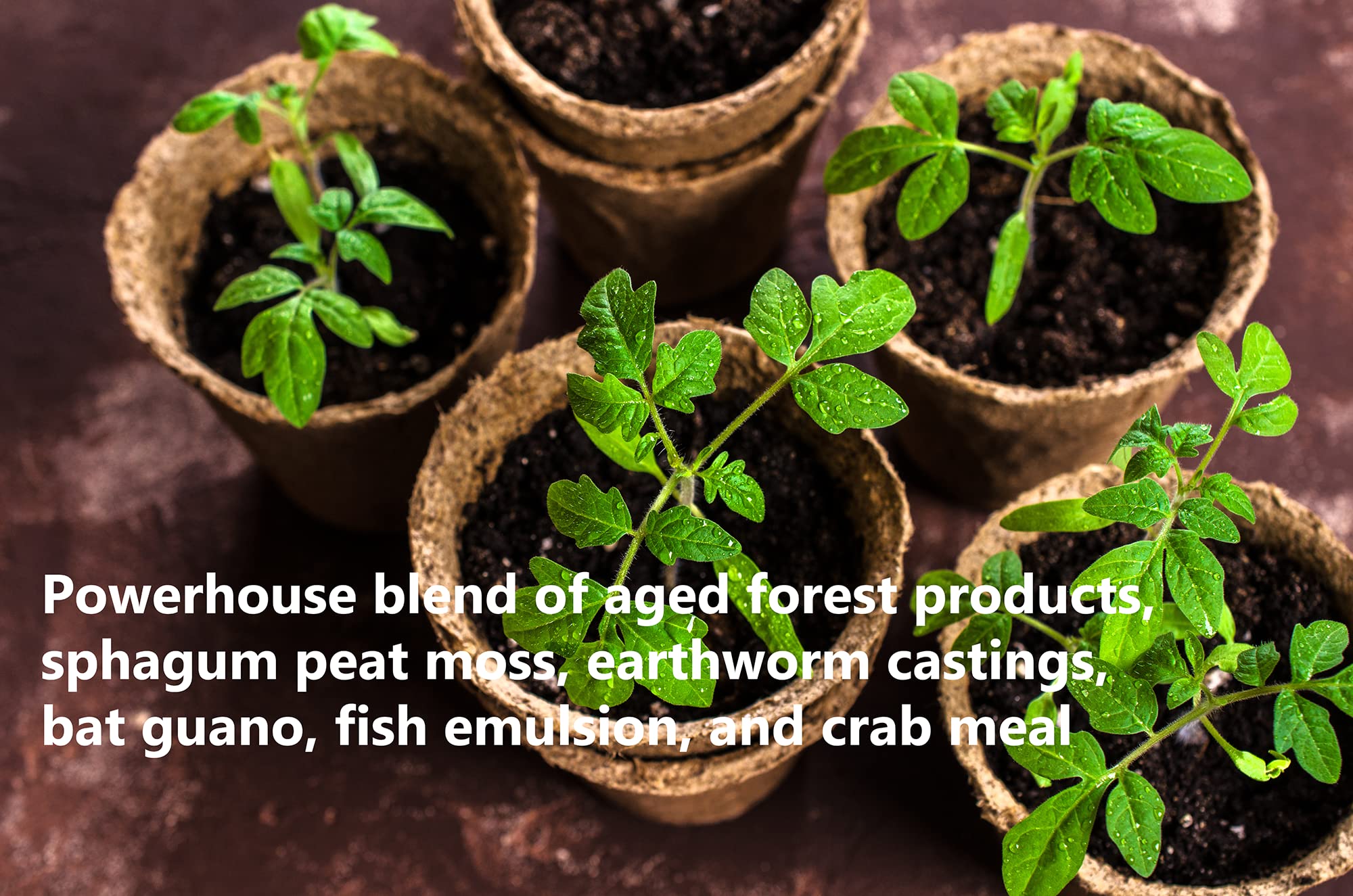 Ocean Forest Potting Soil Mix Indoor Outdoor for Garden and Plants | Plant Fertilizer | 12 Quarts (4 Pack) | The Hydroponic City Stake