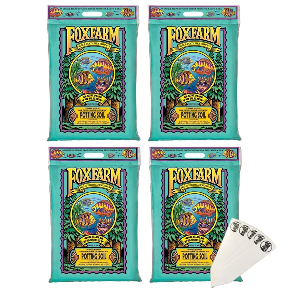 Ocean Forest Potting Soil Mix Indoor Outdoor for Garden and Plants | Plant Fertilizer | 12 Quarts (4 Pack) | The Hydroponic City Stake
