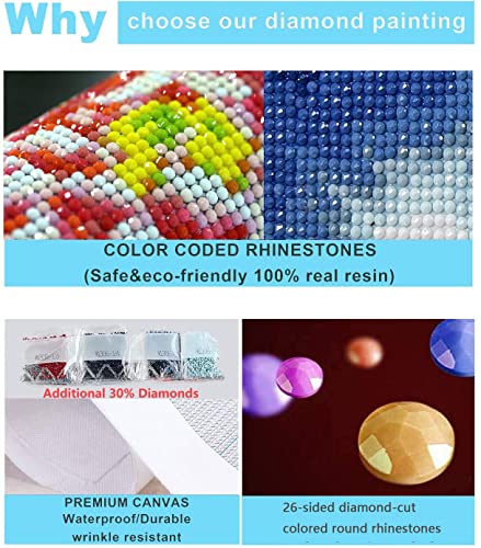 BOGVIAP Diamond Painting 6 Pack Diamond Art Sets Round Full Drill,Cartoon Diamond Painting 6 Pack,Perfect for Home Wall Decoration 12x16 Inch