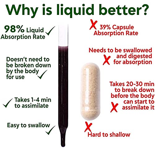 Chlorophyll Liquid Drops for Water Natural Chlorophyll Concentrate (Single)