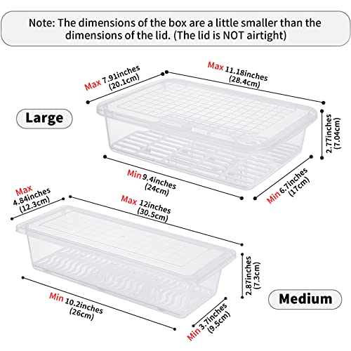 77L Food Storage Containers, (3-Pack) Plastic Food Container with Removable Drain Plate and Lid, Stackable Portable Freezer Storage Containers - Tray to Keep Fruits, Vegetables, Meat and More (Medium)