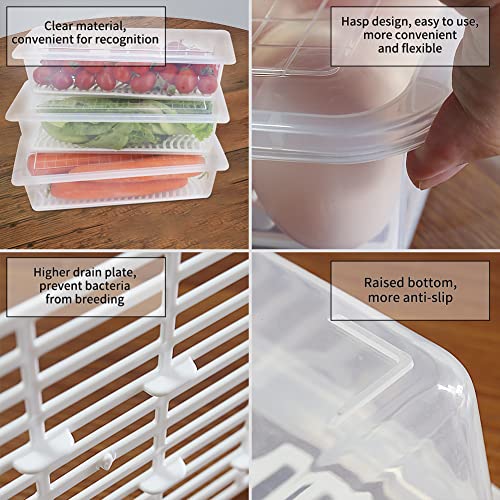 77L Food Storage Containers, (3-Pack) Plastic Food Container with Removable Drain Plate and Lid, Stackable Portable Freezer Storage Containers - Tray to Keep Fruits, Vegetables, Meat and More (Medium)