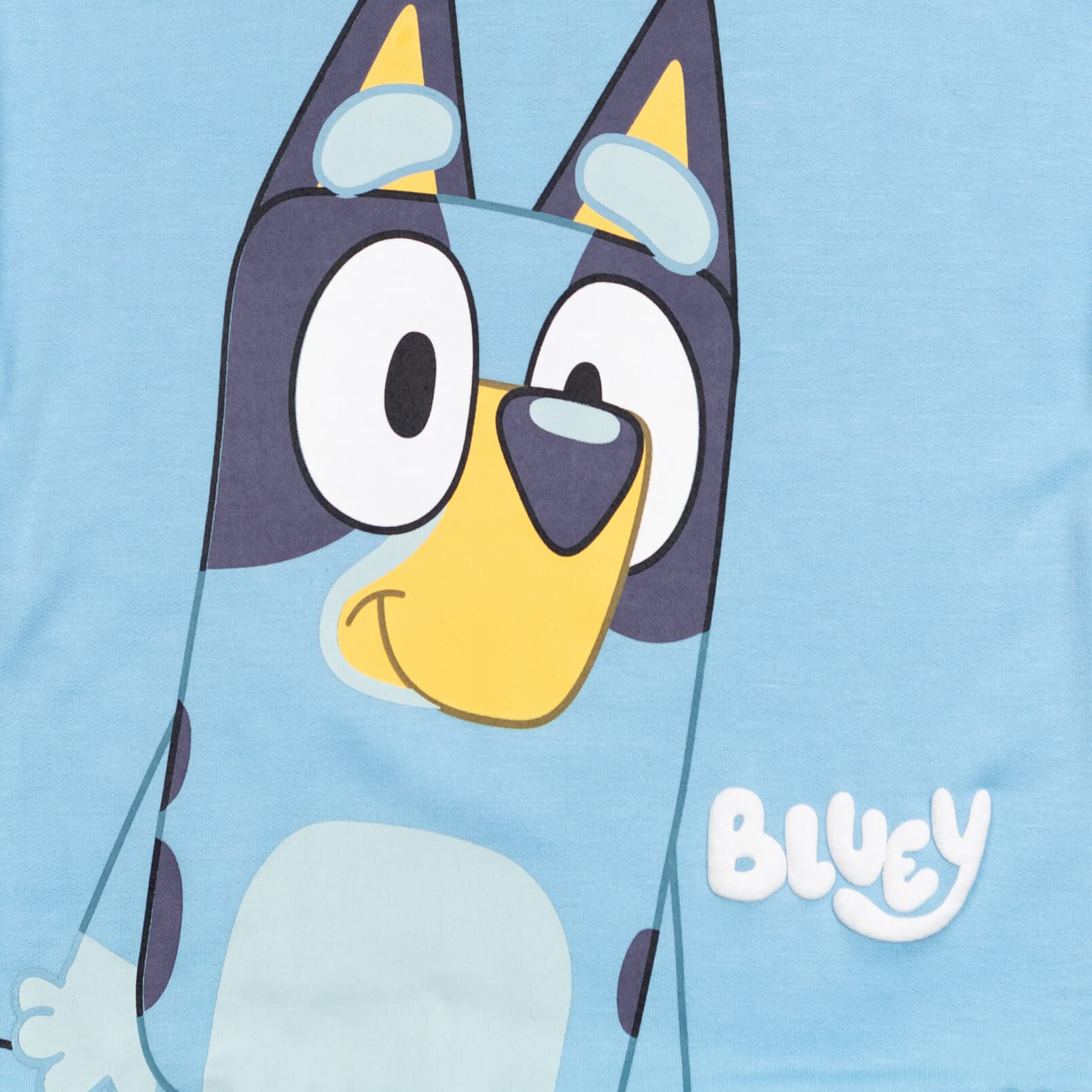 Bluey Little Boys Fleece Pullover Hoodie & Jogger Pants Set Light/Dark Blue 7-8