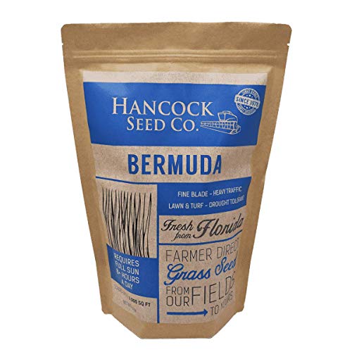 Hancock's Common Bermuda Fall & Winter Grass Seed Mix - 25 lbs.
