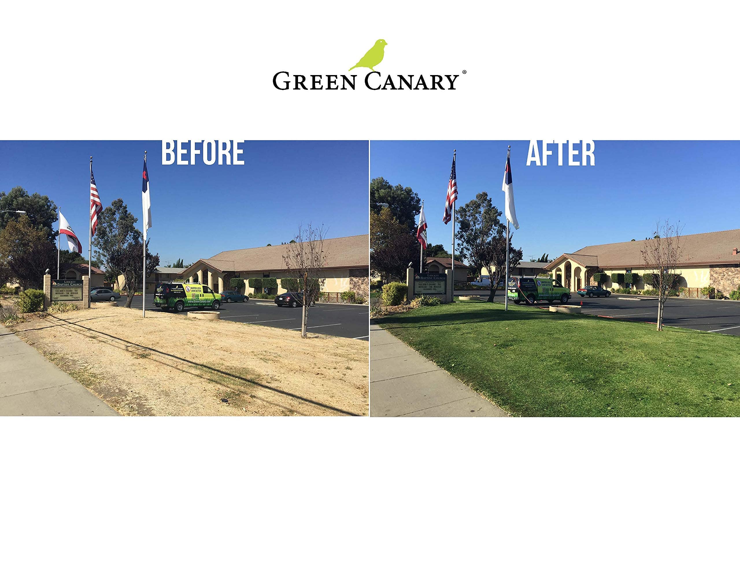 Green Canary Pre-Mixed Grass Colorant - 8 Liter Bottles (More Than 2 Gallons), Environmentally Safe, Natural Looking Turf, Green Grass Paint, Ready to Apply Grass Colorant, Made in USA
