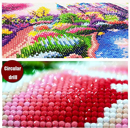 5D DIY Diamond Embroidery Art Painting Kit ，Full Diamond Round Diamond Embroidery, for Wall Decoration,Cartoon Diamond Painting（12X16 Inches）