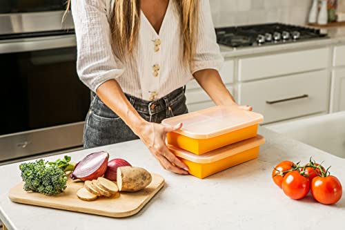 (2 Pack) Large Silicone Freezer Containers For Soup, Pasta Sauce, Leftovers, Broth & More - 6 Cup Reusable BPA Free Non Plastic Food Storage Freezing Trays With Lids & Measurement Lines (2 Pack)