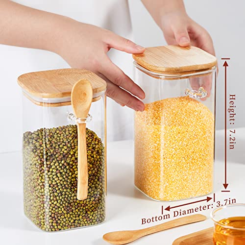 Unbreakable Glass Jars,1400ml/47oz Glass Kitchen Canisters Set of 2 with Airtight Bamboo Lid and Spoon,Glass Food Storage Containers for Coffee Beans, Flour, Sugar, Cookie,Pasta,Tea Leaf and More