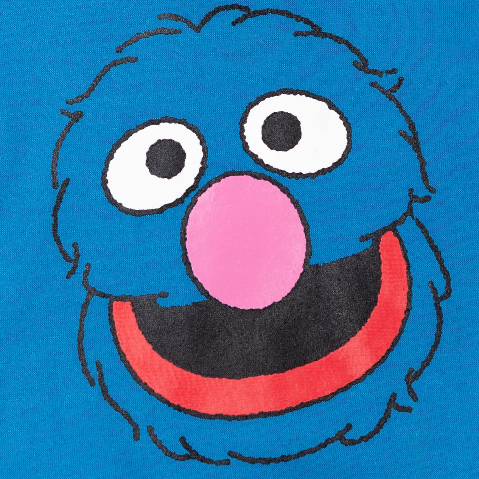 Sesame Street Grover Monster Toddler Boys Hoodie Blue 2T