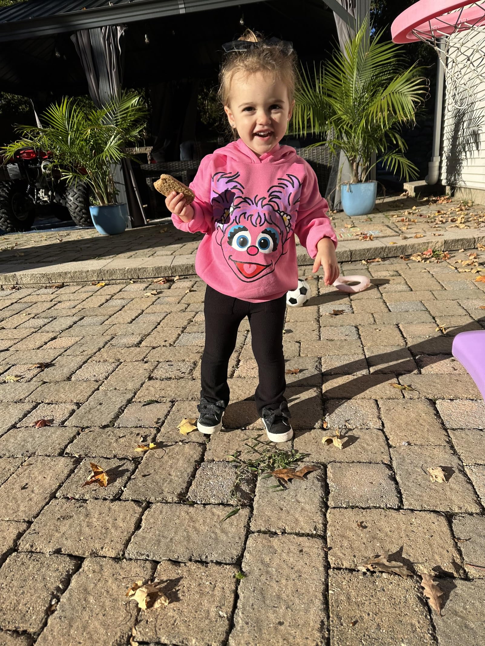 Sesame Street Abby Cadabby Toddler Girls Pullover Hoodie Abby Cadabby 3T