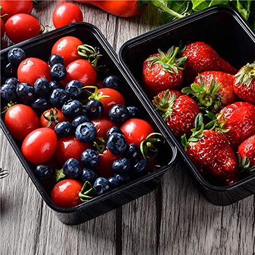 MORDEN MS 50 Pack Meal Prep Containers Reusable 26 OZ To-Go Food Containers with Lids Plastic Bento Boxes, Food Storage Lunch Box, Microwave/Freezer/Dishwasher Safe, 1 Compartment, BPA-Free