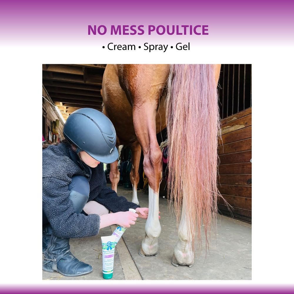 Dr. Milt's Horse Topical Epsom Salt Pain Relief Ointment Rub: Poultice and Liniment Fortified with Arnica for Horses and Animals. 2 Pack - 8oz Spray