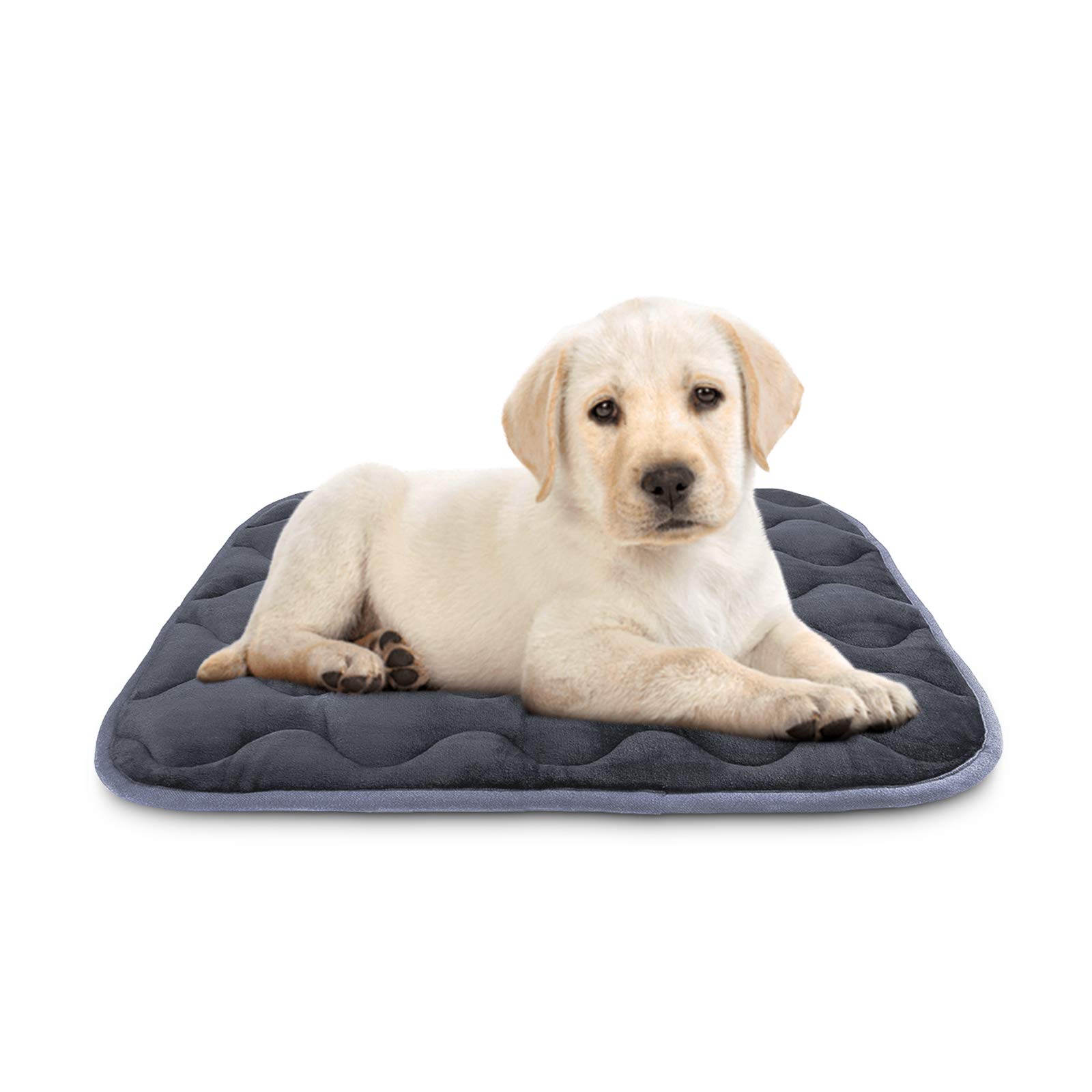 AIPERRO Fluffy Dog Beds for Small Dogs Crate Cushion Mat Machine Washable Anti-Slip Pets Sleeping Pads for Small Medium Large Dogs and Cats, 23 x 18 Inch