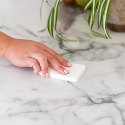 Full Circle Plain Jane Plant-Based Cellulose Sponge, Natural