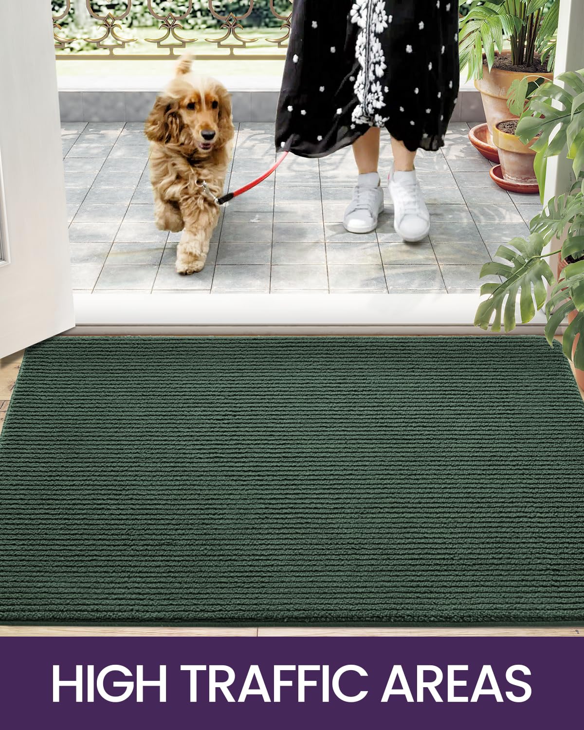 DEXI Door Mat Entryway Doormat Front Entrance Non-Slip Low Profile Washable for Inside Entry 23.5"x35.5",Sea Green