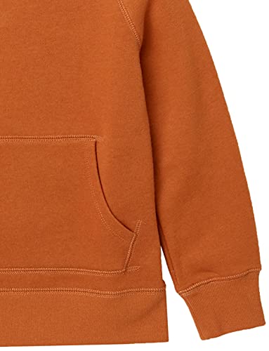 Amazon Essentials Boys' Fleece Pullover Hoodie Sweatshirts, Light Brown, Medium