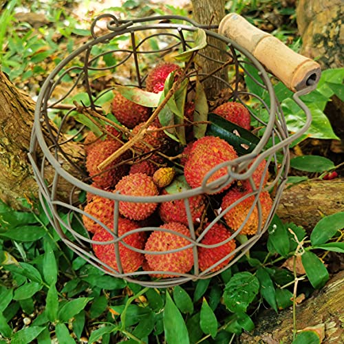 Metal Wire Egg Baskets for Collect Fresh Egg Baskets Countertop Holder, LINCOUNTRY Rustic Round Small Chicken Basket Gathering Fresh Egg With Handle,Country Primitive Farmhouse Vintage Storage Gift