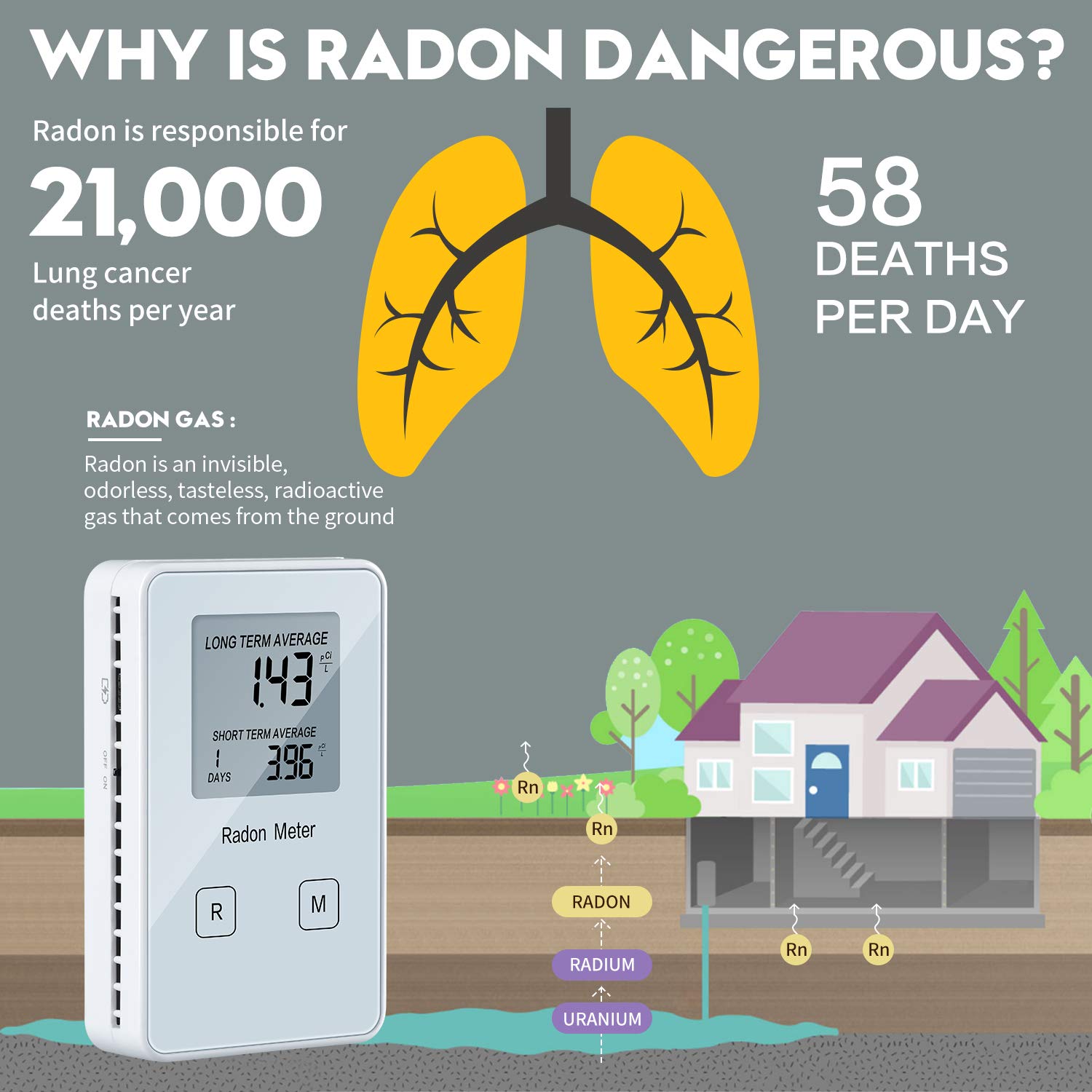Funny Kitchen Home Radon Detector,Portable Radon Meter,Long and Short Term Monitor,Rechargeable Battery-Powered,Radon Test Kit