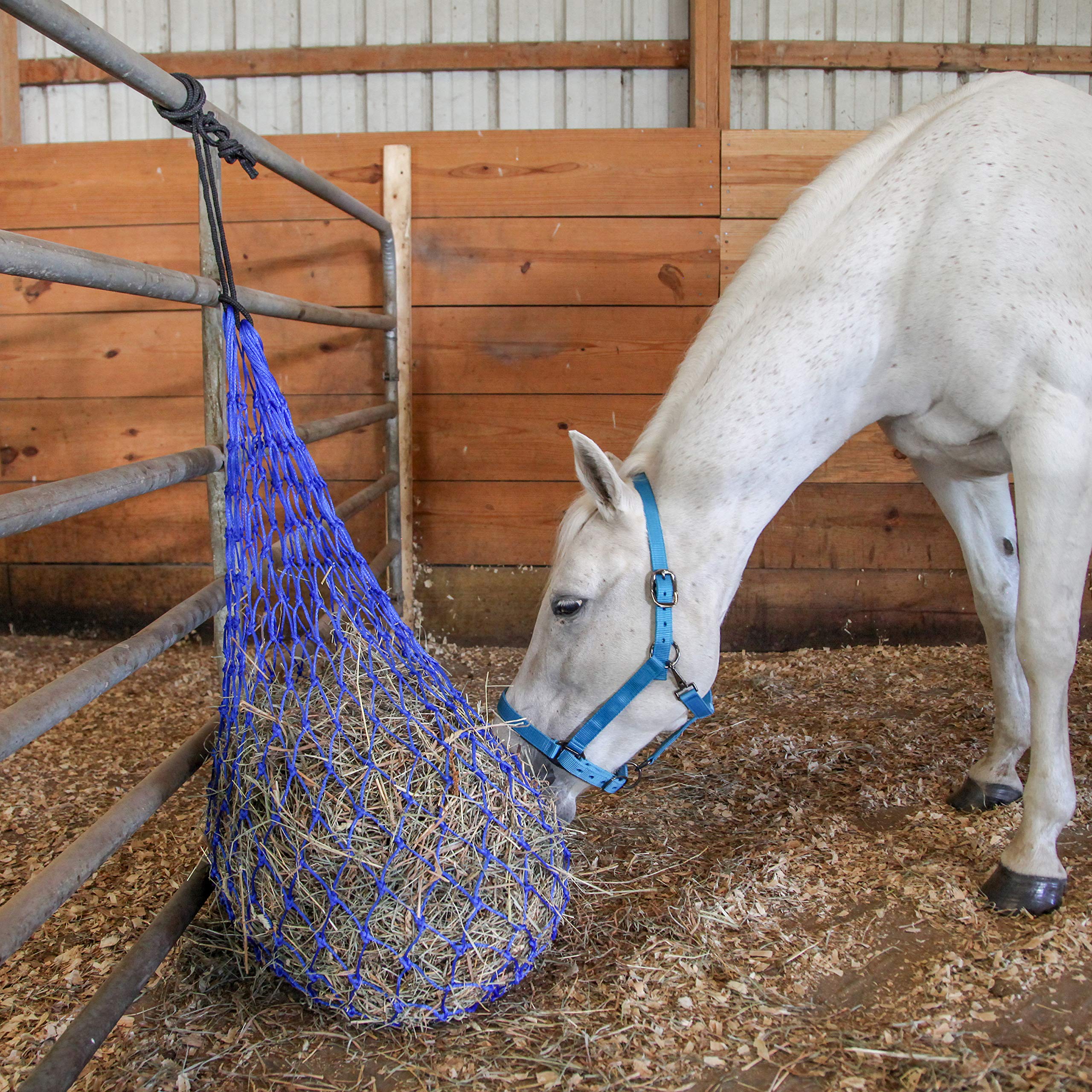 Majestic Ally 2 pcs Slow Feed 56” Hay Net with Soft 3"x3" Holes for Horses & Livestock, Nylon Rope Hanging, Simulates Grazing, Reduce Waste (Purple)