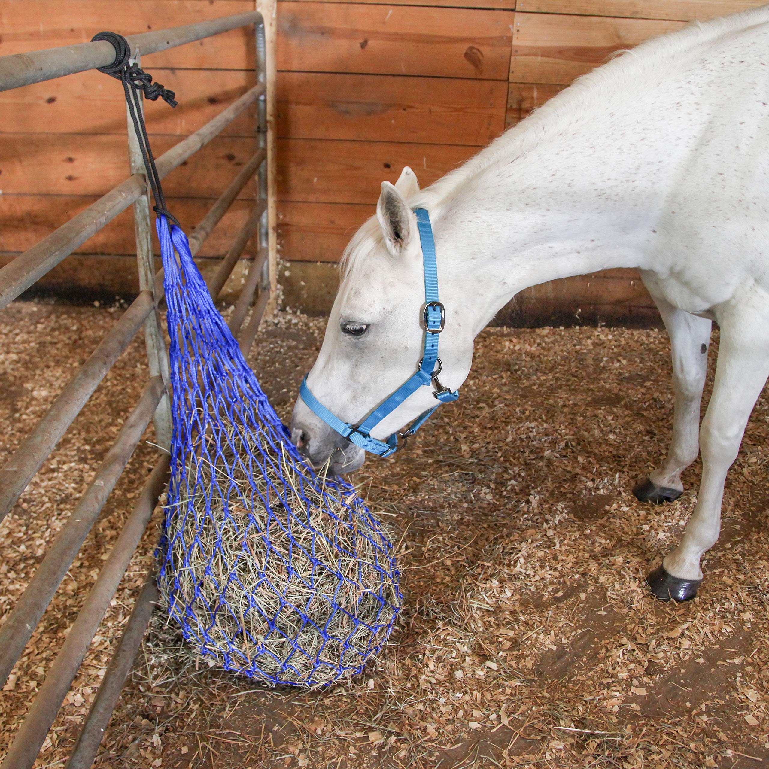 Majestic Ally 2 pcs Slow Feed 56” Hay Net with Soft 3"x3" Holes for Horses & Livestock, Nylon Rope Hanging, Simulates Grazing, Reduce Waste (Purple)