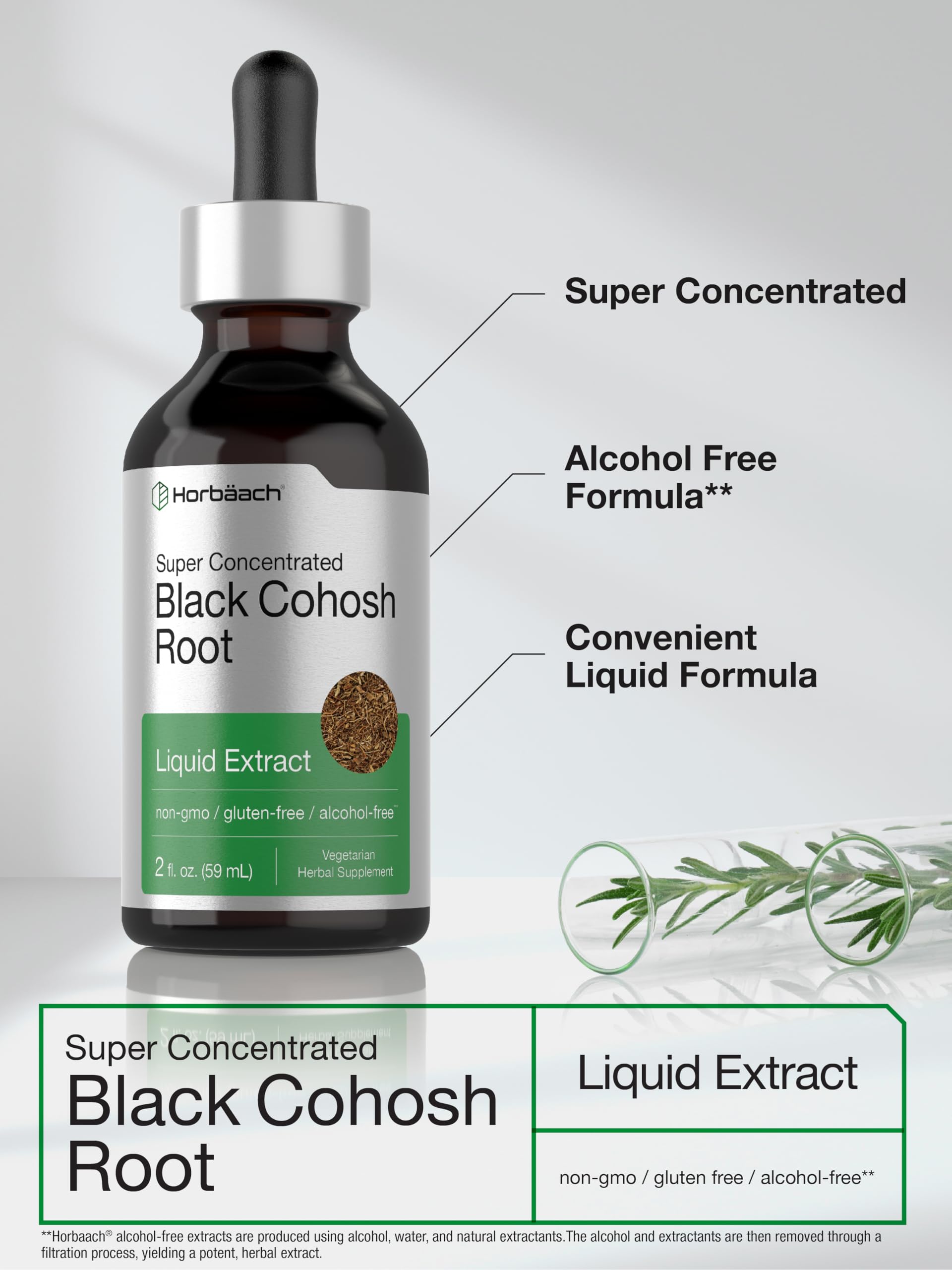Horbäach Black Cohosh Root Tincture | 2 fl oz | Liquid Extract | Alcohol Free Herb Drops | Vegetarian | Non-GMO, Gluten Free Supplement