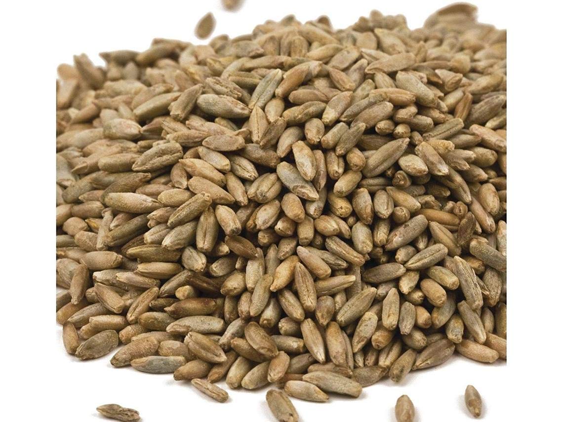 Rye Grass Seed - Fast Growing and Hardy Grass, Cover Crop, Food Plot. Grazing Pasture Seeds (5 Pounds)